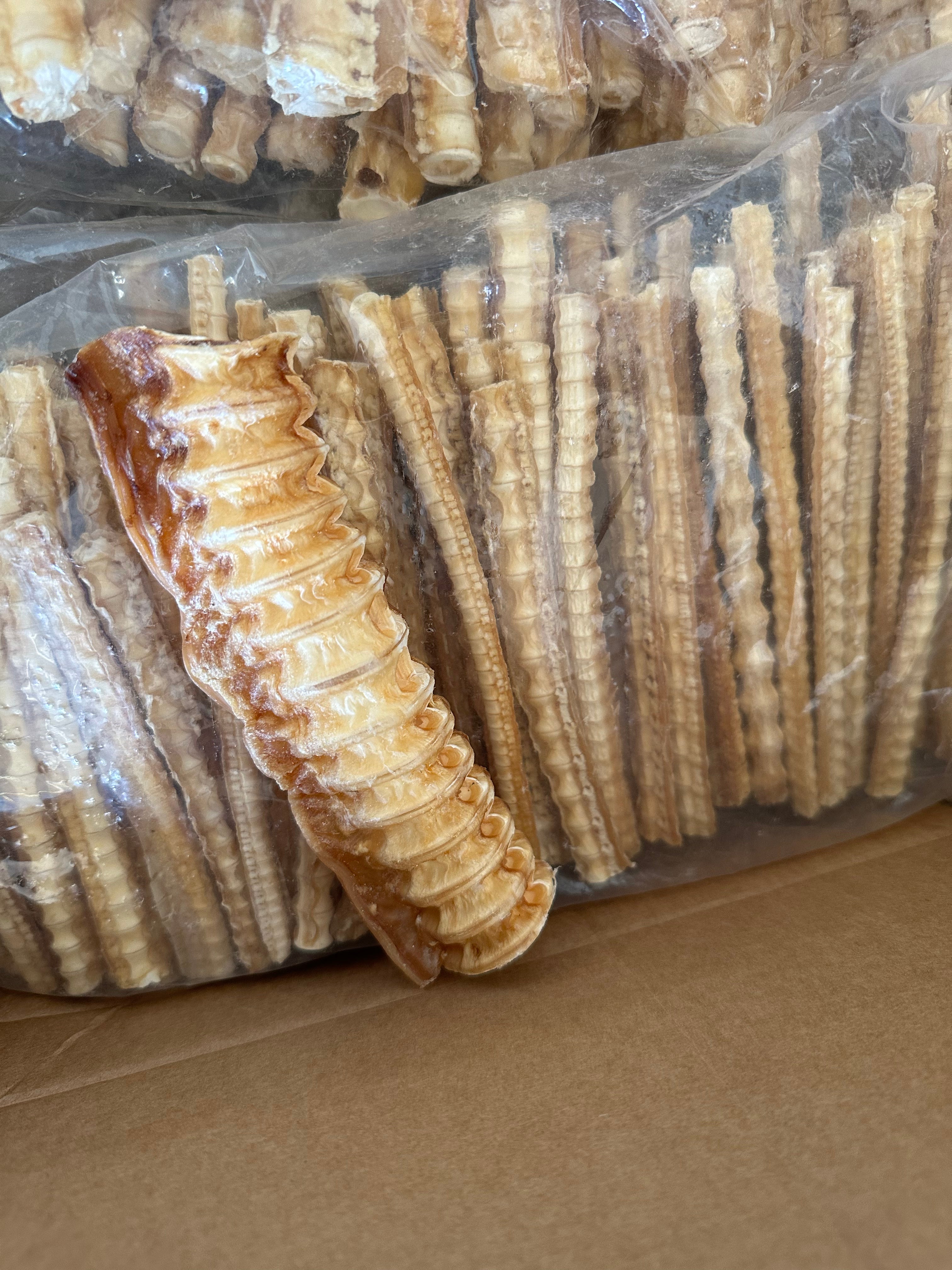 Shark Cartilage – MS Pet Services